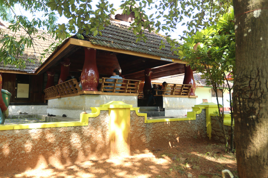 Sreedhareeyam Ayurvedic Eye Hospital – Traditional Eye Care, Kerala India
