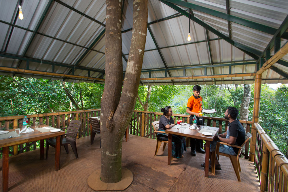 3 Days Honeymoon Package in Vythiri, Kerala